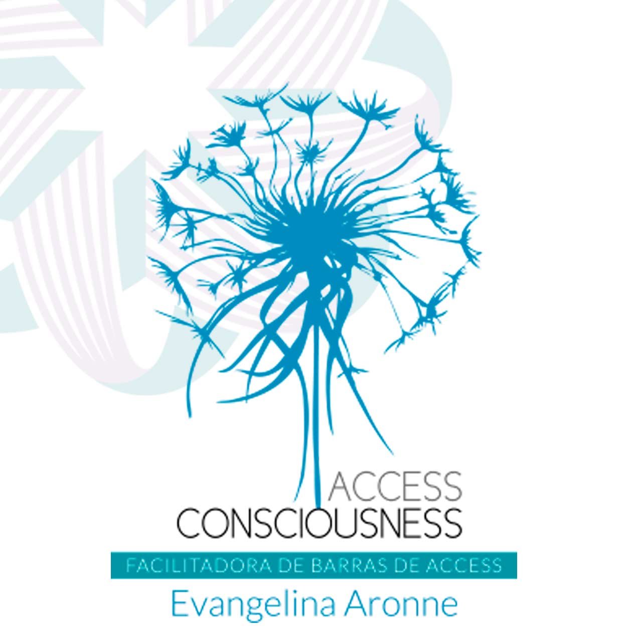Barras de Access Consciousness Lic. Evangelina Aronne